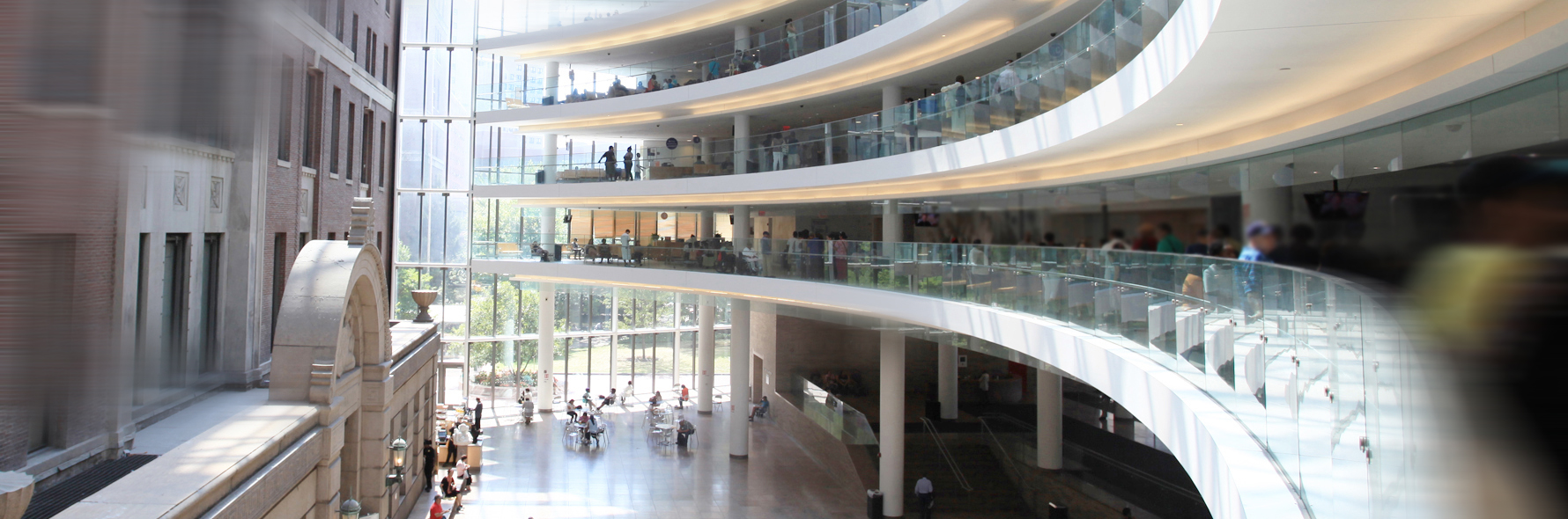 Centers of Excellence - NYC Health + Hospitals