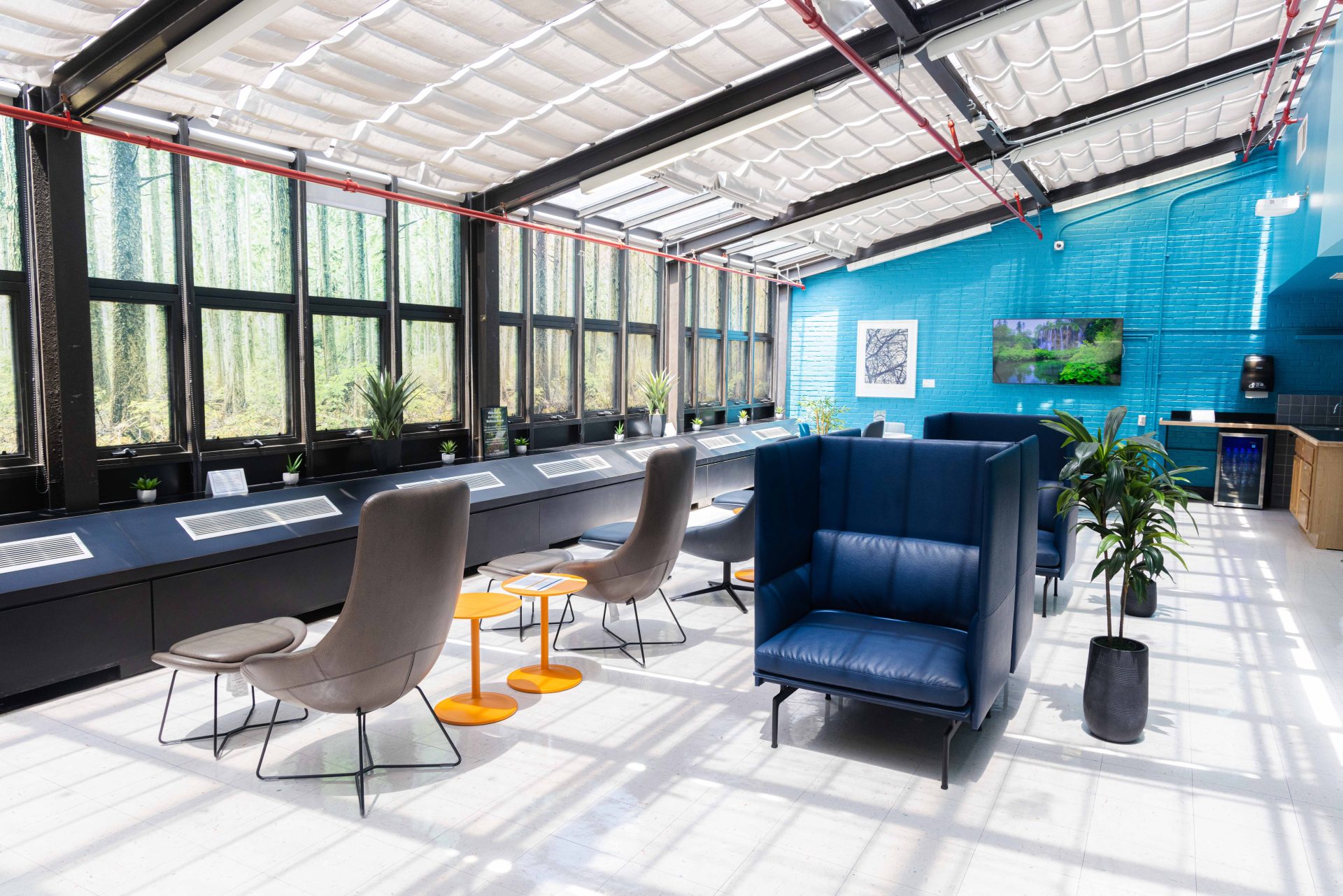 NYC Health + Hospitals Honored by American Medical Association for ...