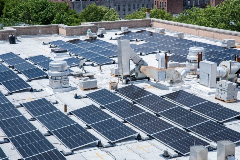 NYC Health + Hospitals and NYC DCAS Celebrate Completion of Rooftop ...